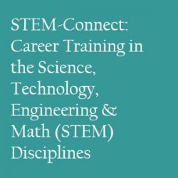 STEM-Connect: Career Training in the Science, Technology, Engineering ...